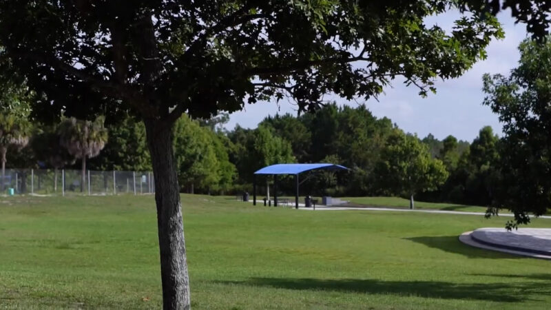 5 Fun Activities to Enjoy at Dr. P. Phillips Community Park - Southwest ...